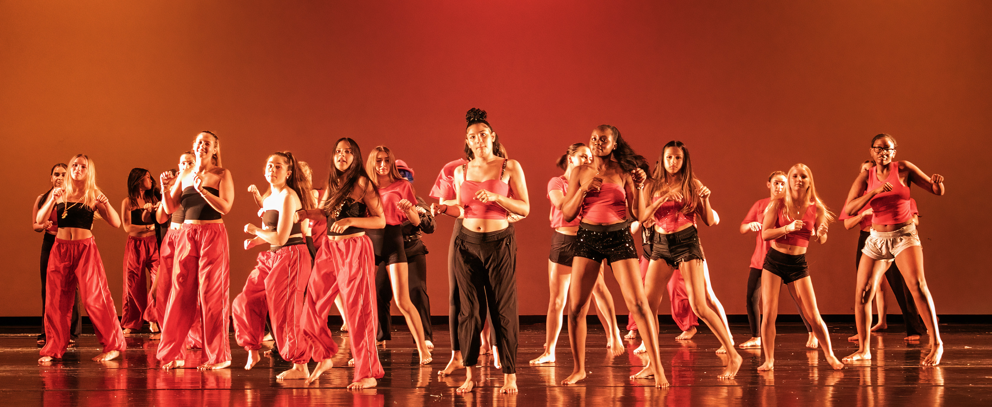 Spring Dance Recital | charles levie